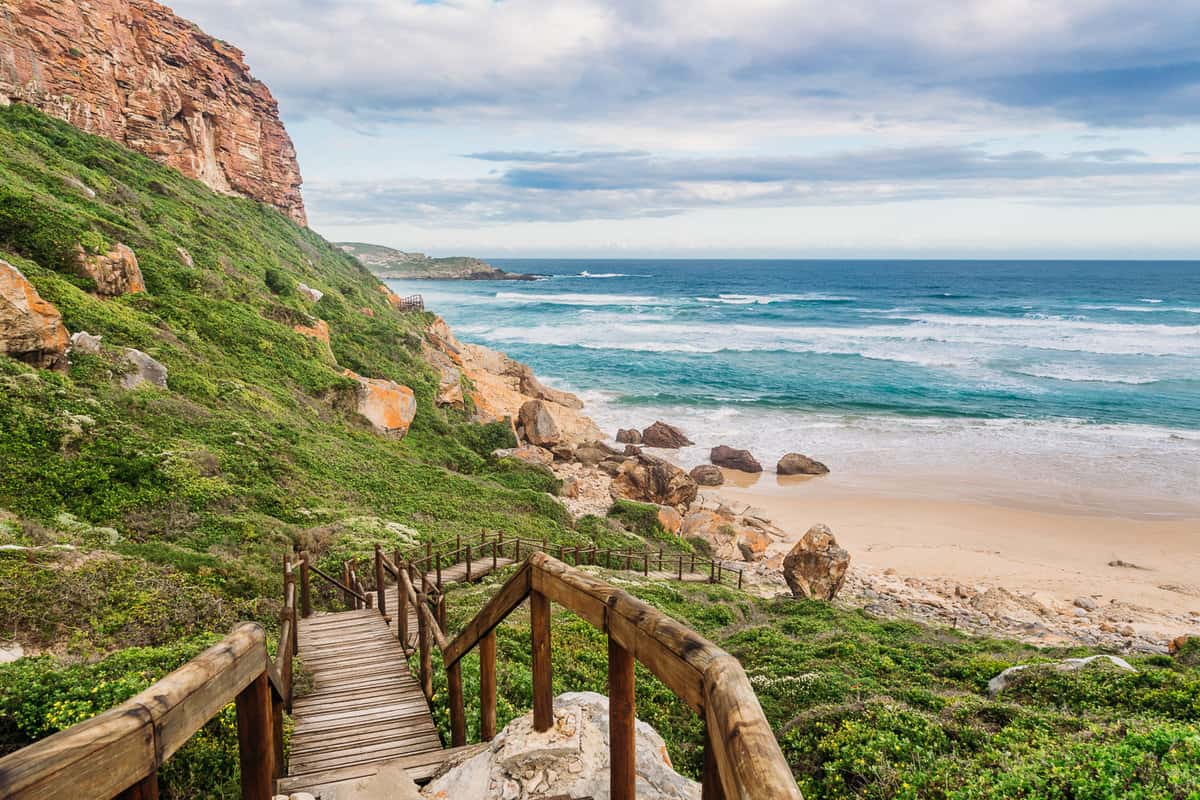 Best Things To Do in Plettenberg Bay