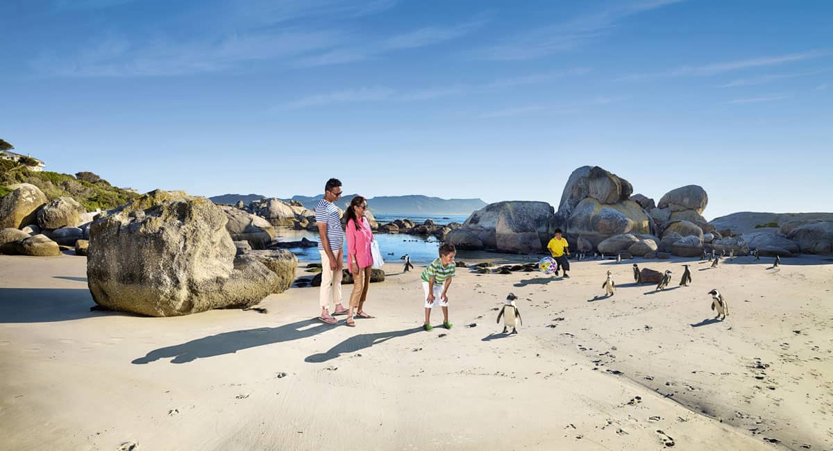 Things to do at Boulders Beach