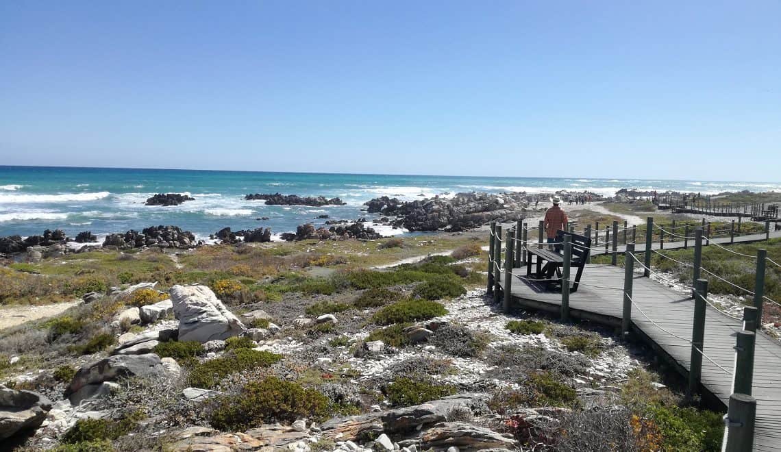 Coastal Charm: Your Cape Agulhas Itinerary Planner