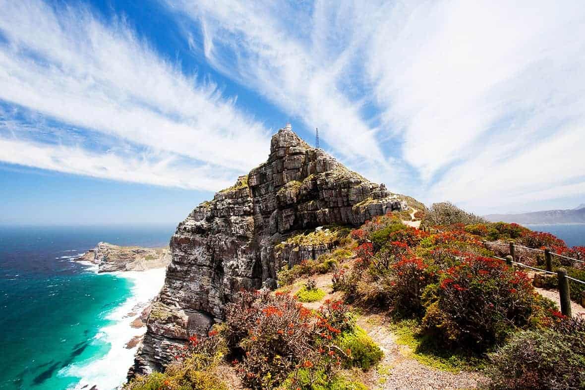 Things to Do at Cape Point Nature Reserve