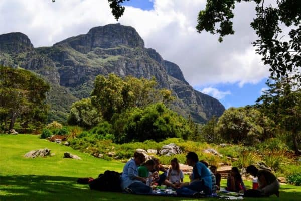 Things to Do at Cape Point Nature Reserve