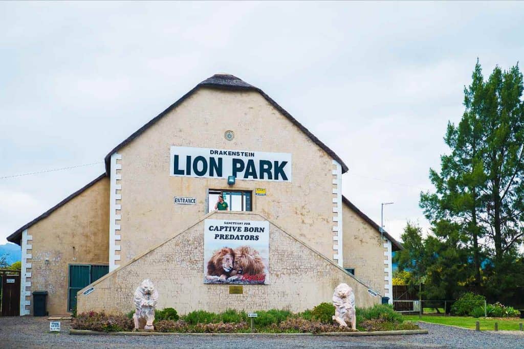 Drakenstein Lion Park in Cape Town | Must-Visit Attractions