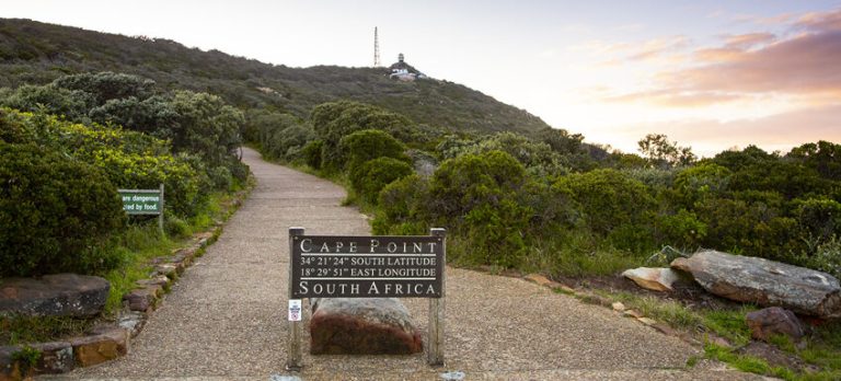 Things to Do at Cape Point Nature Reserve