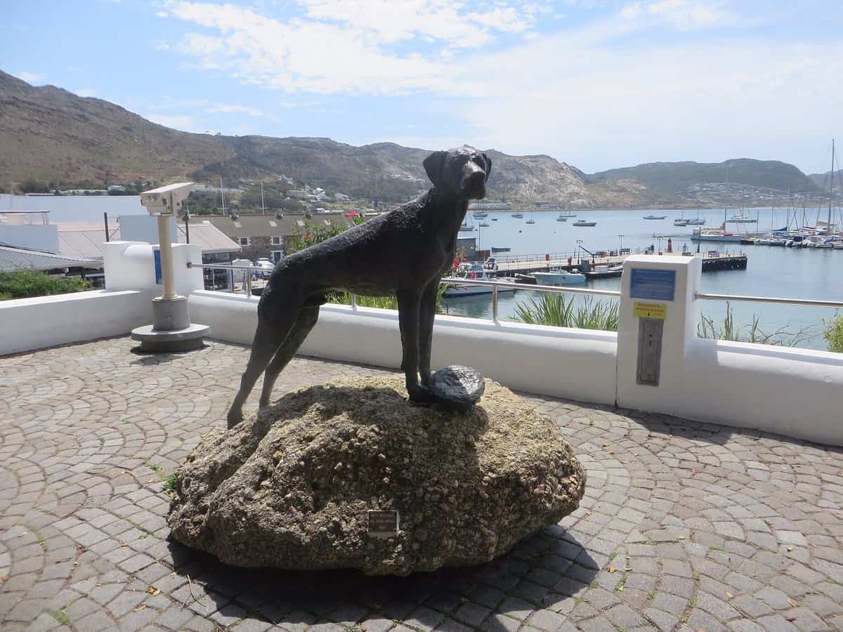 The Best Things to do in Simons Town