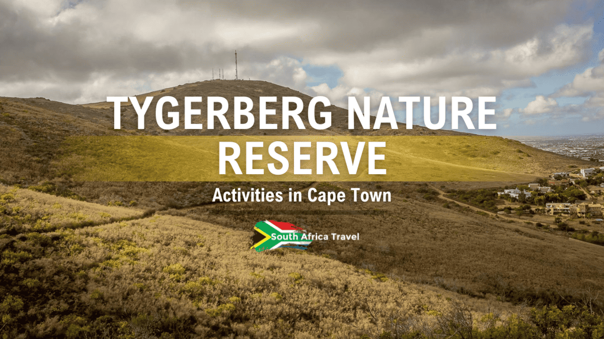 Tygerberg Nature Reserve Activities in Cape Town | Nature Tours