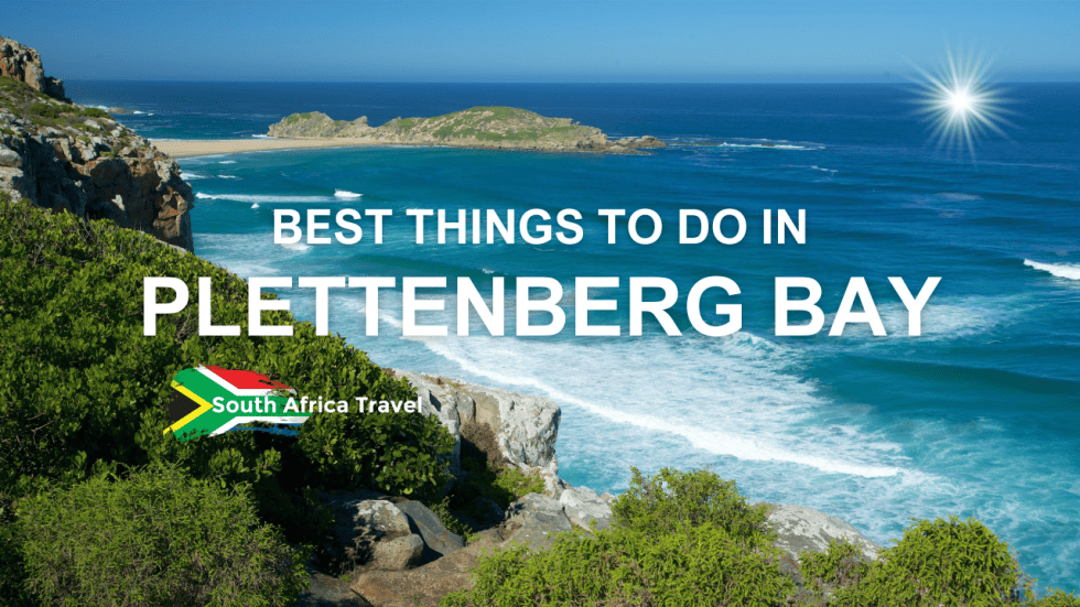 Best Things To Do in Plettenberg Bay