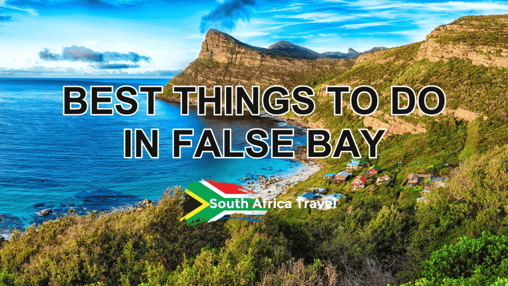 Best Things to do in False Bay