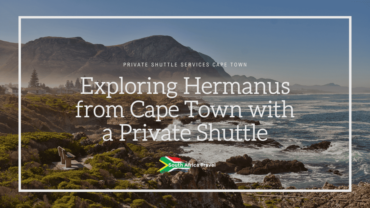 Exploring Hermanus from Cape Town with a Private Shuttle