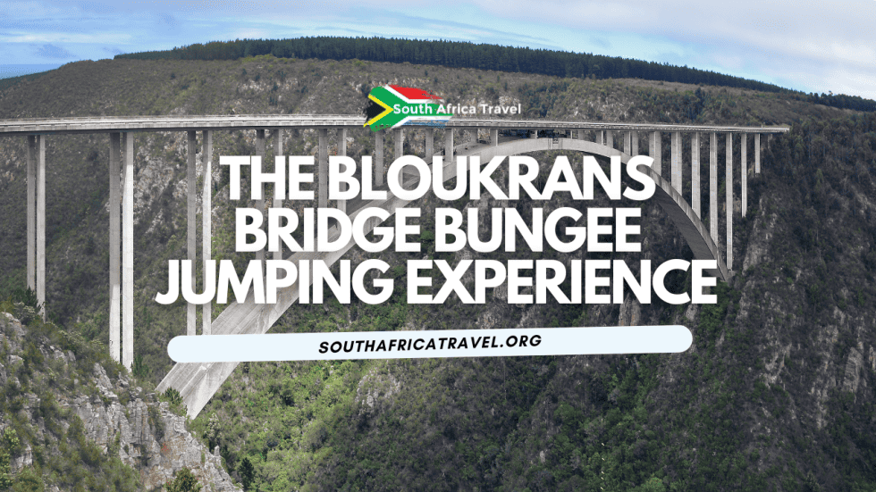The Bloukrans Bridge Bungee Jumping Experience