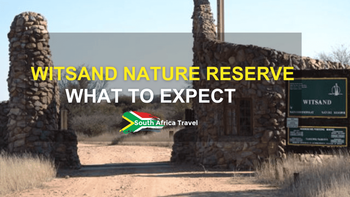 Witsand Nature Reserve: What to Expect
