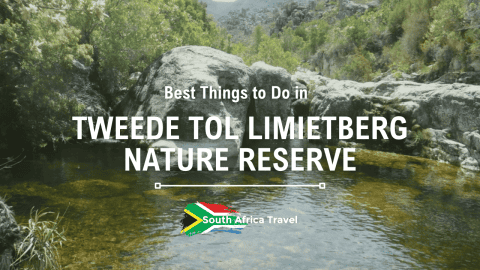 Best Things to Do in Tweede Tol Limietberg Nature Reserve