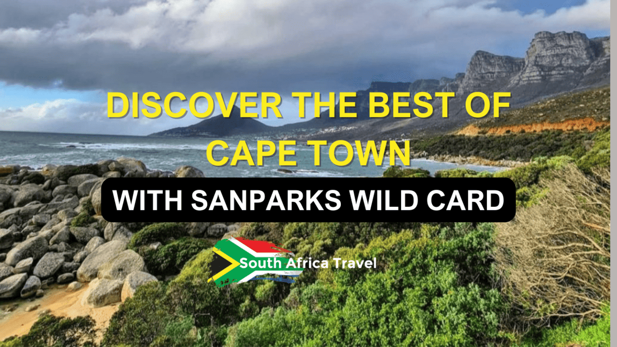 Discover the Best of Cape Town with Sanparks Wild Card