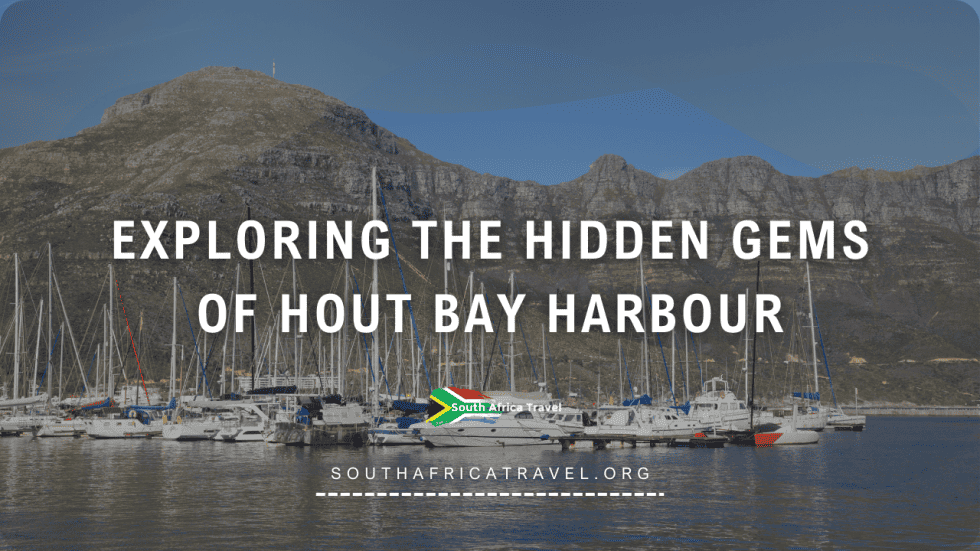Exploring the Hidden Gems of Hout Bay Harbour | Hout Bay Guide