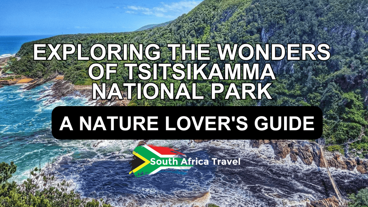 Exploring the Wonders of Tsitsikamma National Park: A Nature Lover's Guide