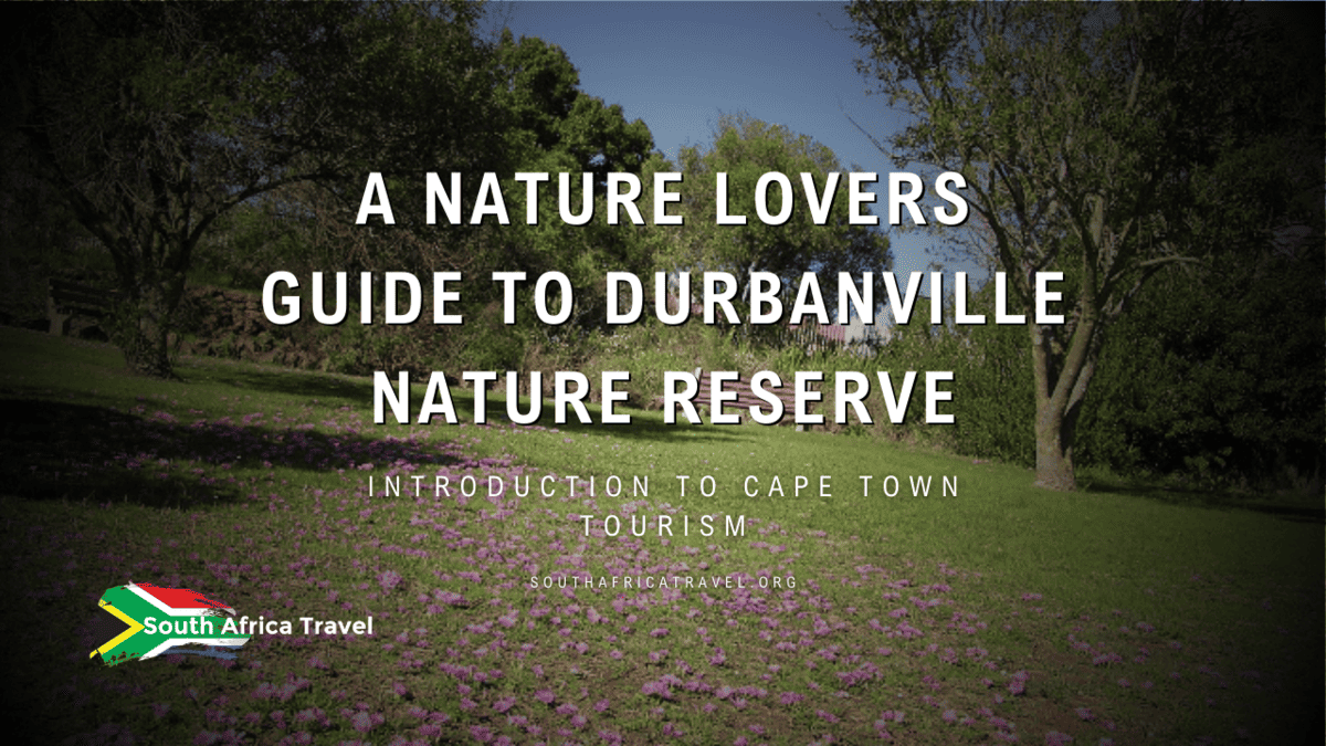 A Nature Lovers Guide to Durbanville Nature Reserve