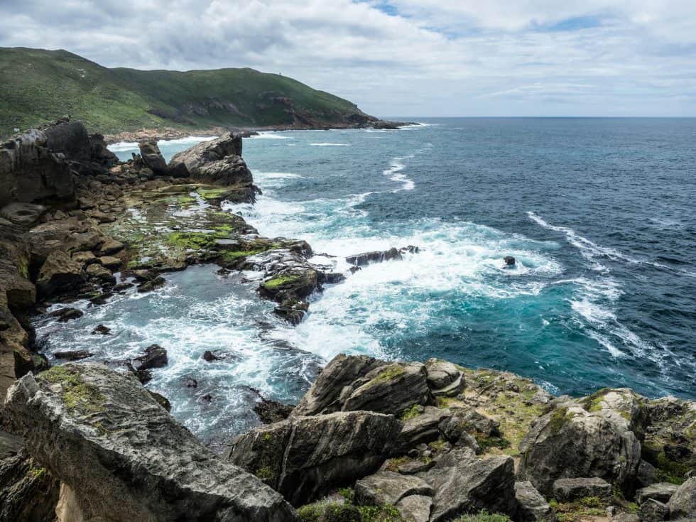 Things to Do in Robberg Nature Reserve | Robberg Private Tours
