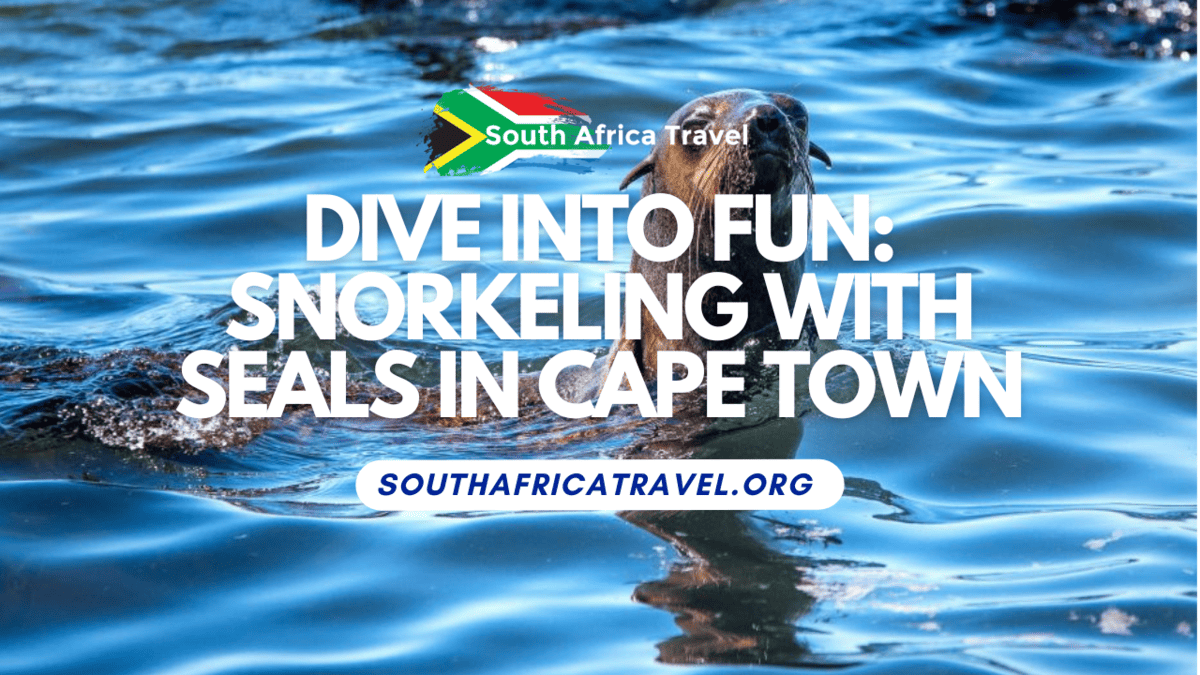 Dive into Fun: Snorkeling with Seals in Cape Town