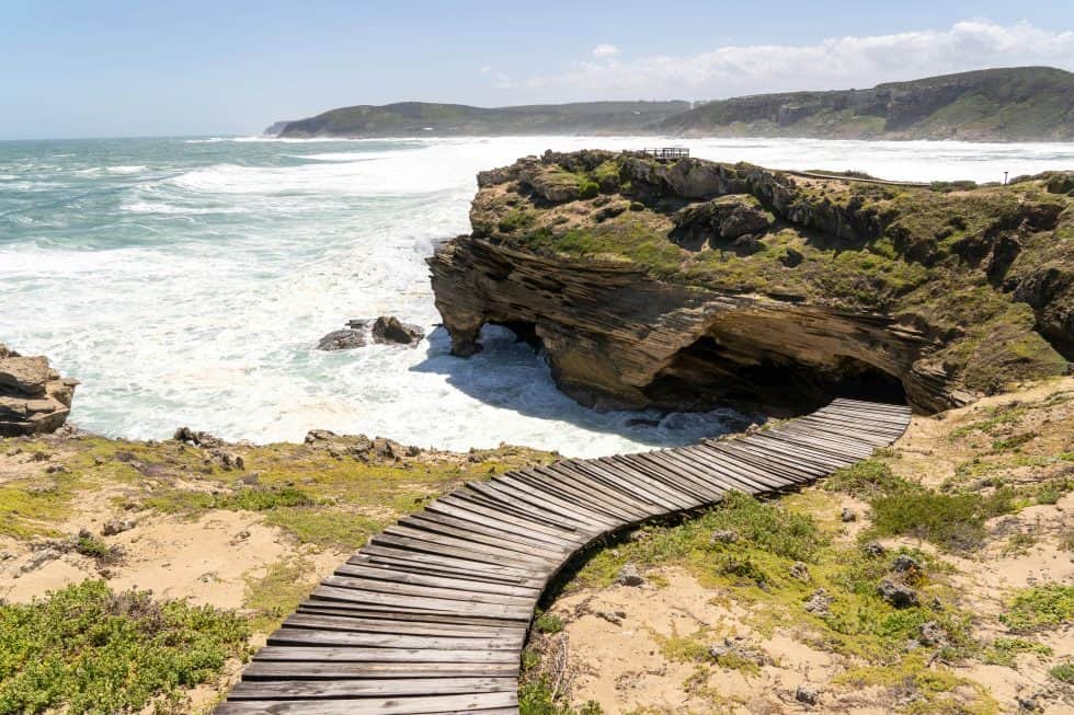 Things to Do in Robberg Nature Reserve | Robberg Private Tours