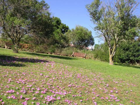 A Nature Lovers Guide to Durbanville Nature Reserve