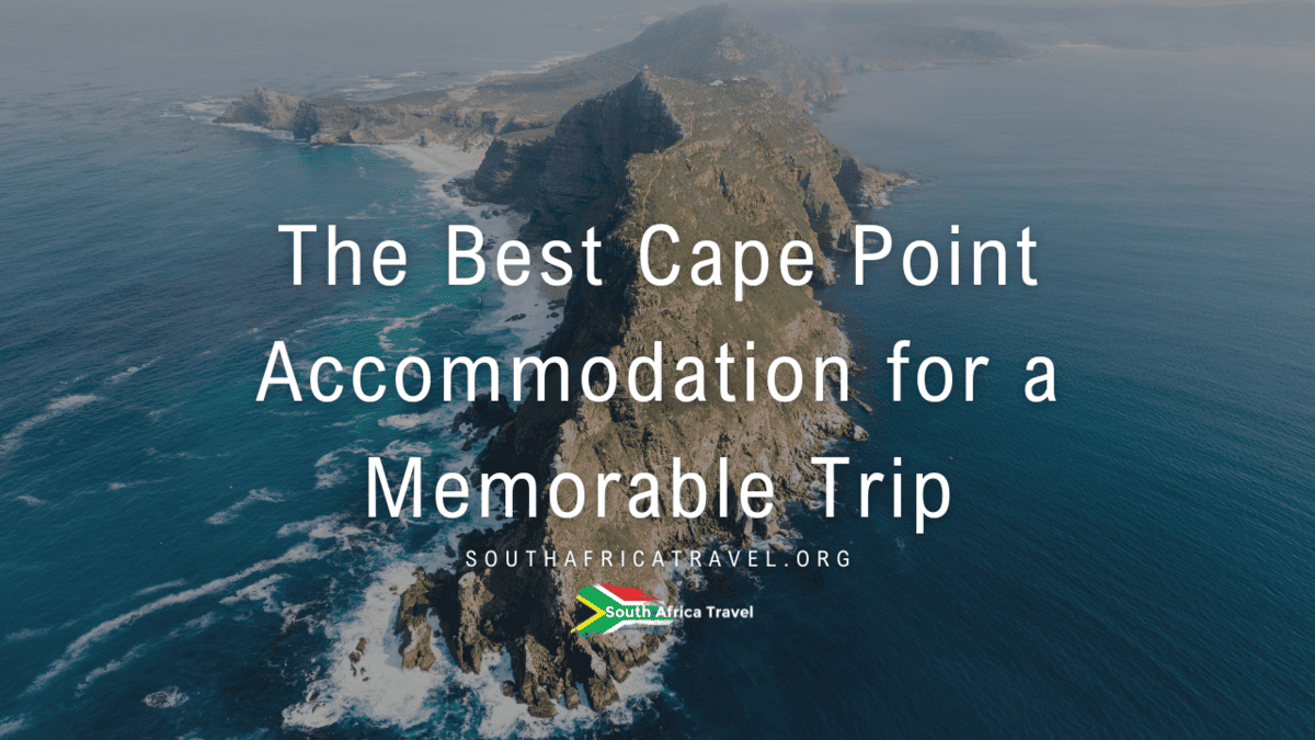 The Best Cape Point Accommodation for a Memorable Trip