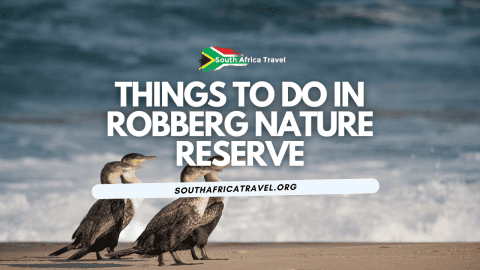 robberg nature reserve Archives - South Africa Travel - Tours and ...