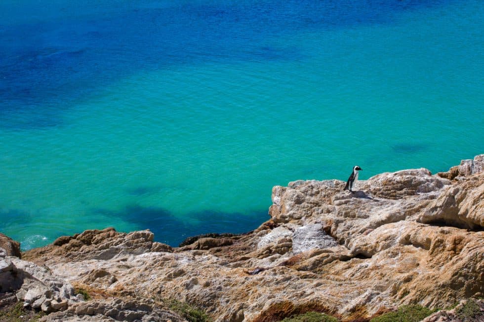 The Best Scenic Drives on the Garden Route | Garden Route travel