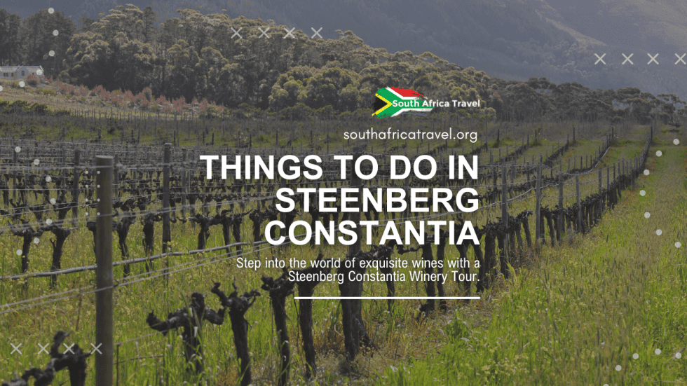 Things to Do in Steenberg Constantia - South Africa Travel - Tours and ...