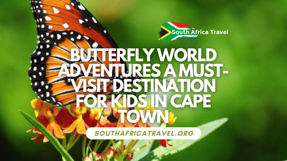 Butterfly World Adventures A Must-Visit Destination for Kids in Cape Town