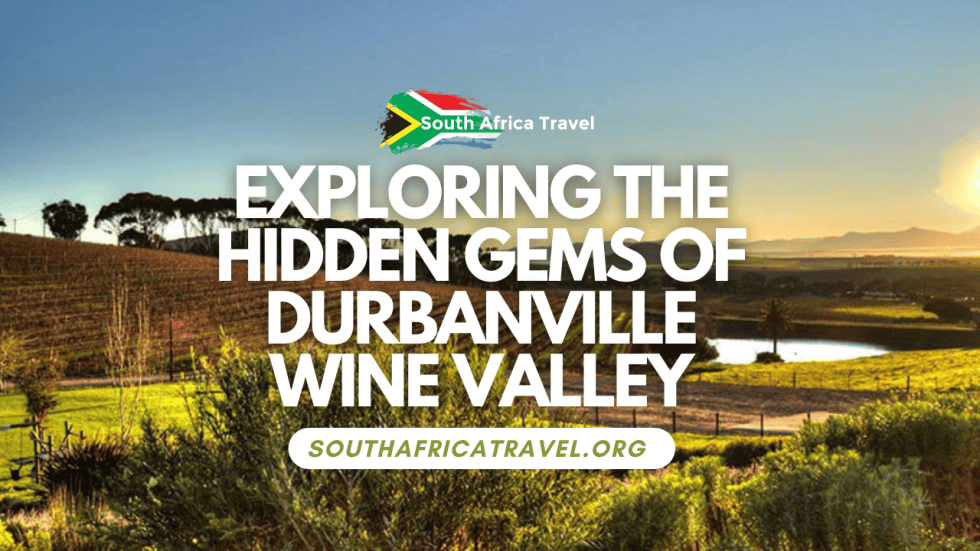Exploring the Hidden Gems of Durbanville Wine Valley