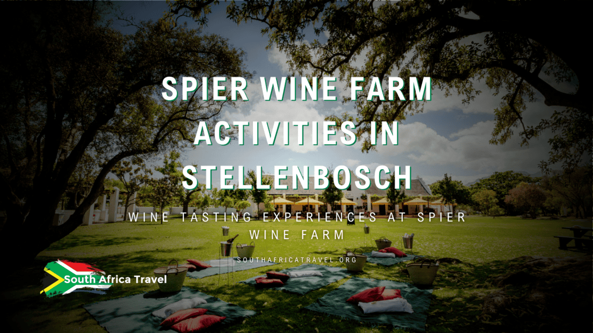 Spier Wine Farm Activities in Stellenbosch | Cape Winelands Tours