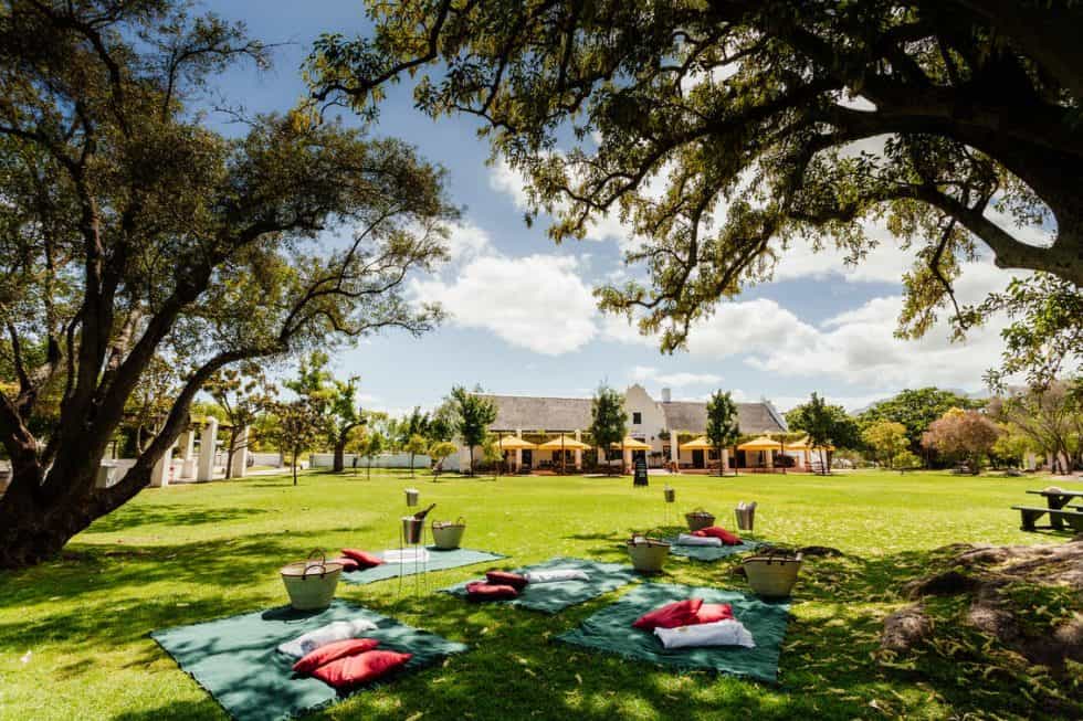 Spier Wine Farm Activities in Stellenbosch | Cape Winelands Tours