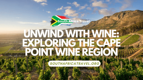 Unwind with Wine: Exploring the Cape Point Wine Region