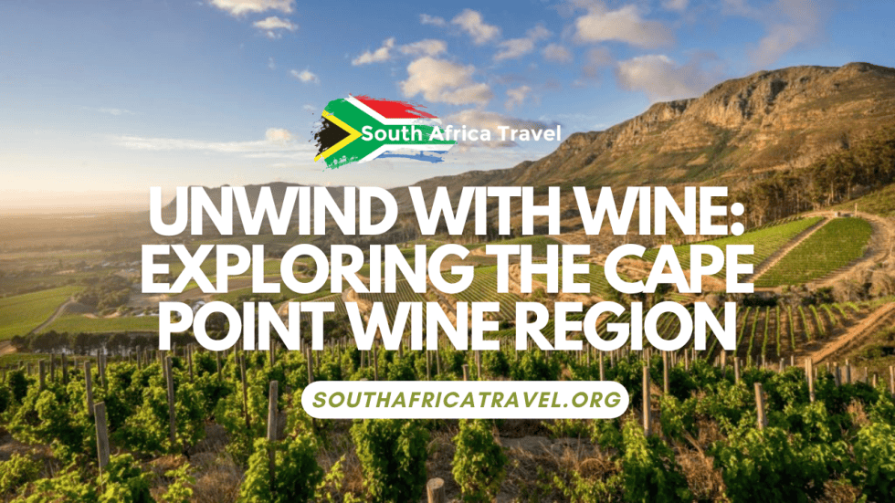 Unwind with Wine: Exploring the Cape Point Wine Region