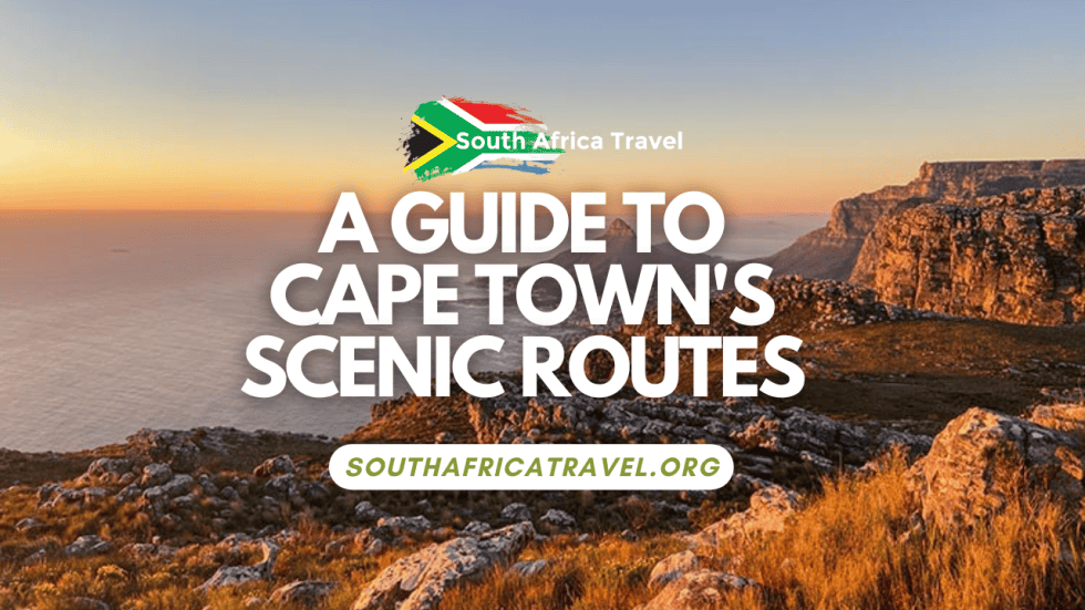 A Guide to Cape Town's Scenic Routes