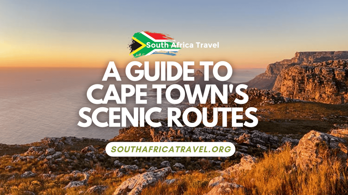 A Guide to Cape Town's Scenic Routes