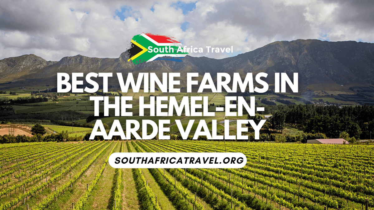 Best Wine Farms in The Hemel-en-Aarde Valley
