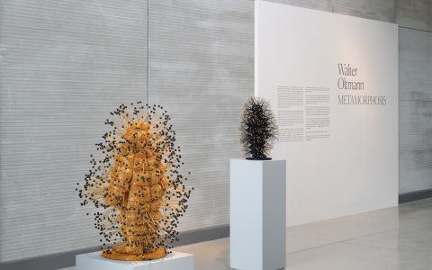 Must-Visit for Art Lovers: Norval Foundation Museum in Cape Town