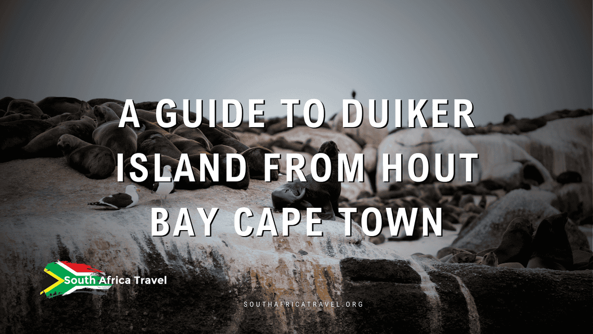 A Guide to Duiker Island from Hout Bay Cape Town