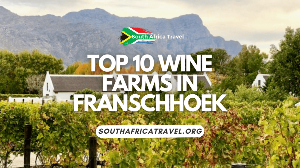 Top 10 Wine Farms in Franschhoek