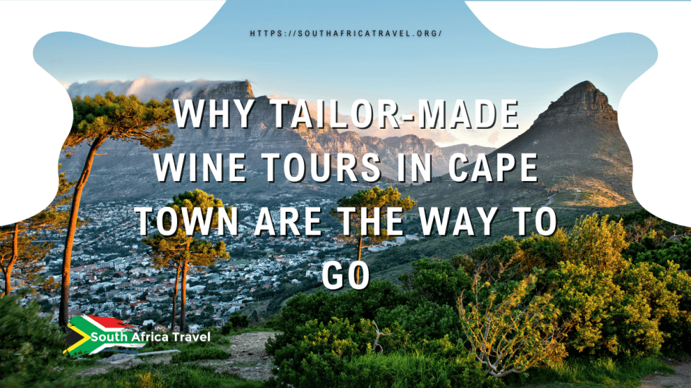 Why Tailor-made Wine Tours in Cape Town Are the Way to Go