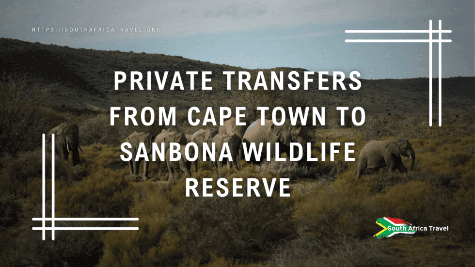 Private Transfers from Cape Town to Sanbona Wildlife Reserve