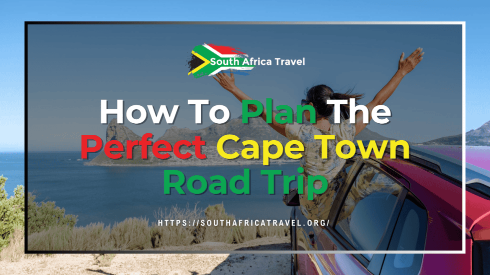 How To Plan The Perfect Cape Town Road Trip